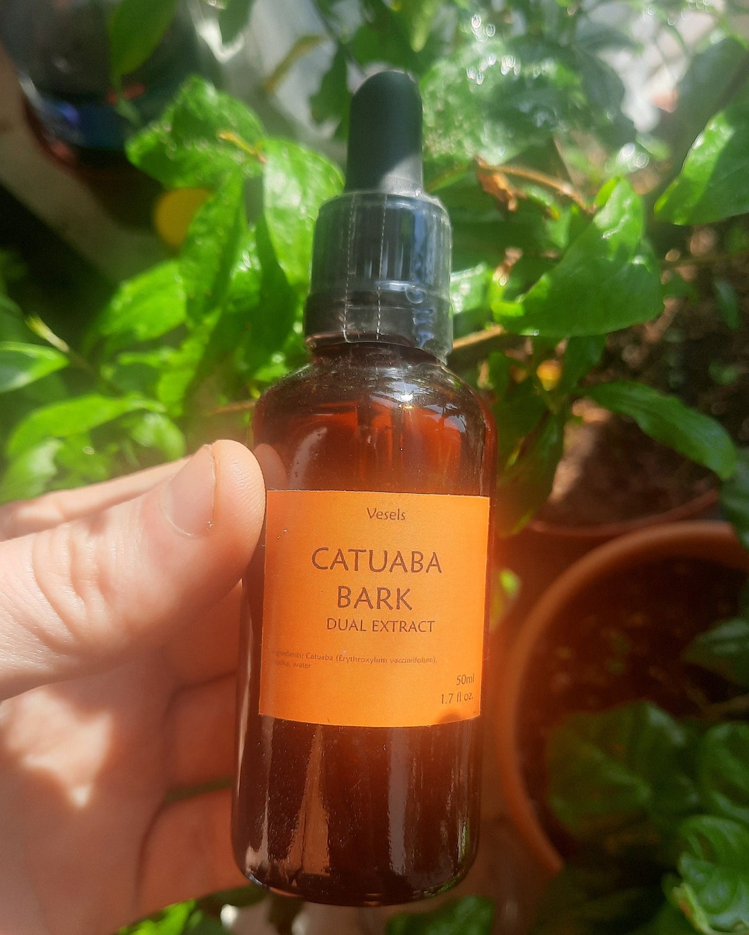 Catuaba Bark Concentrated Extract Tincture - Etsy