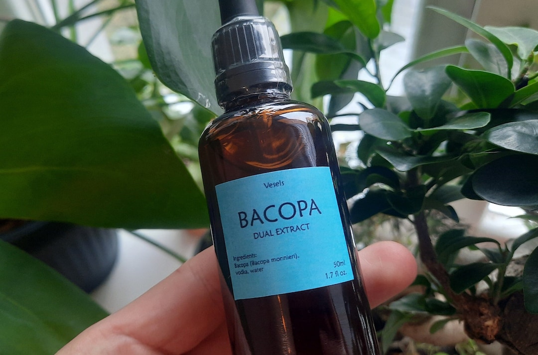Bacopa Concentrated Extract - Etsy
