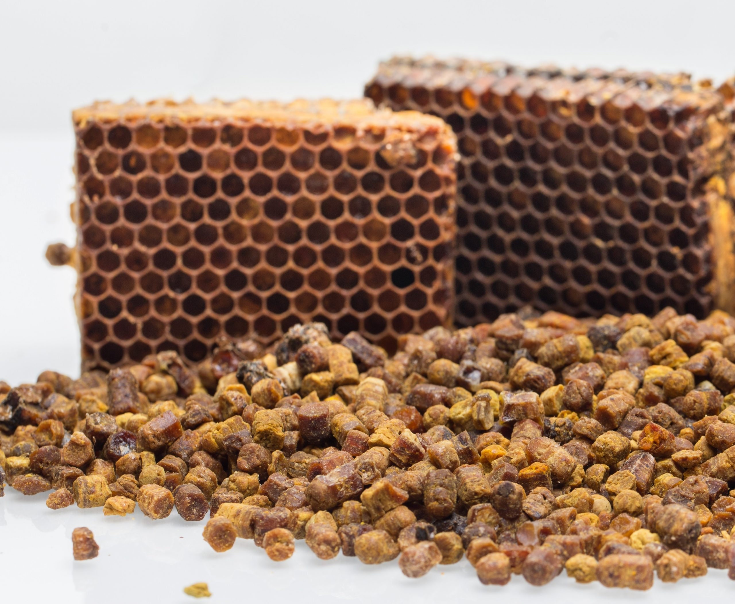 Ambrozia Bee Bread - Honey Fermented With Pollen - Etsy