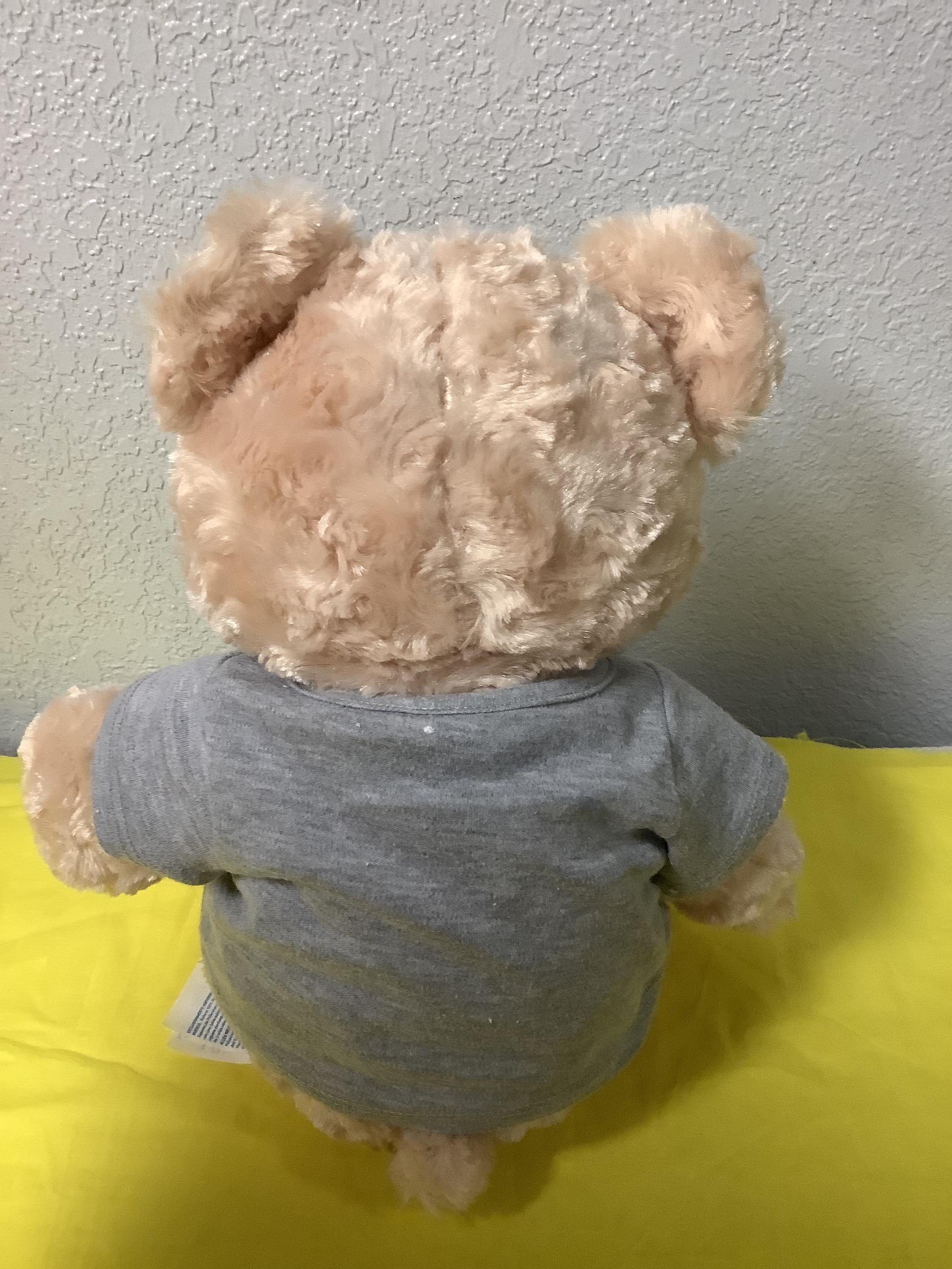 Build A Bear Workshop Beige Teddy Bear With Mechanism in Paw Says “I ...