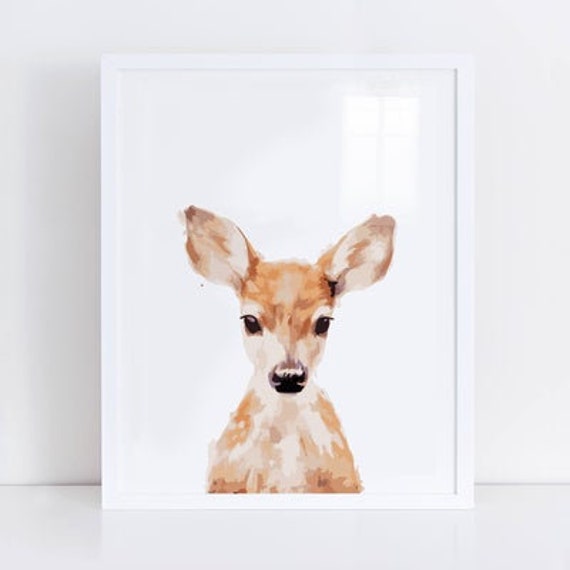 Paint by Numbers Animals Collection | Etsy UK