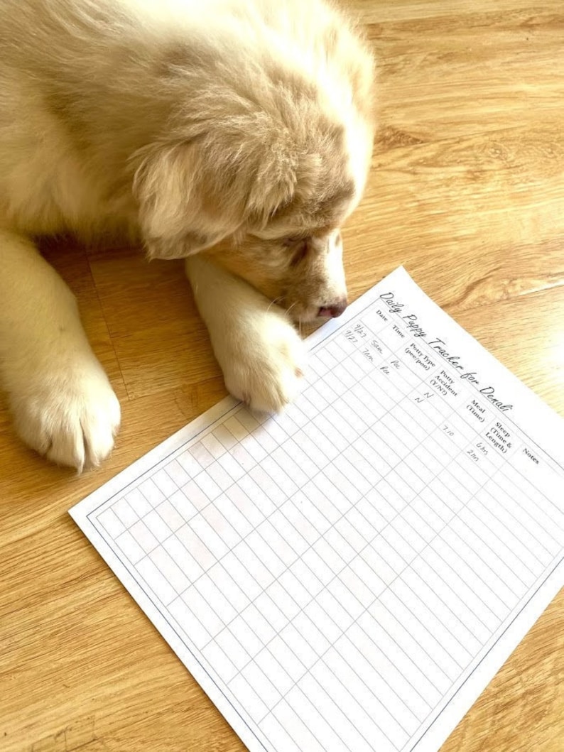 Puppy Potty Tracker - Etsy