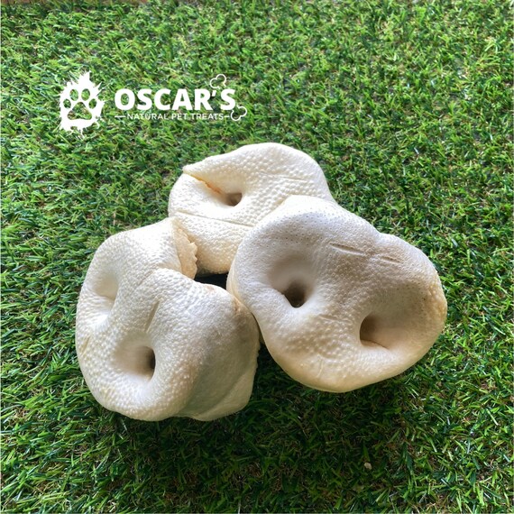 Puffed Pig Snout | Etsy