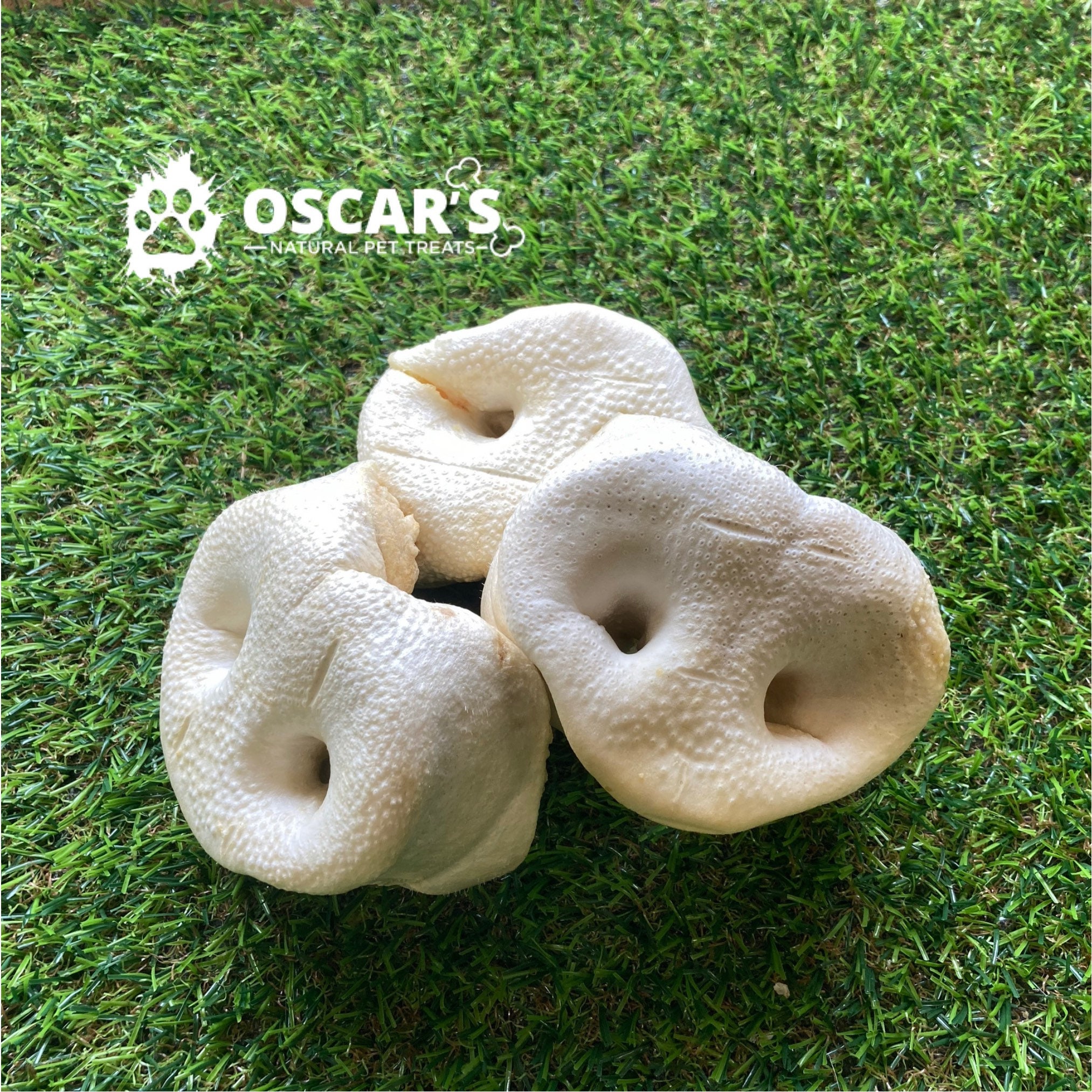 Puffed Pig Snout | Etsy