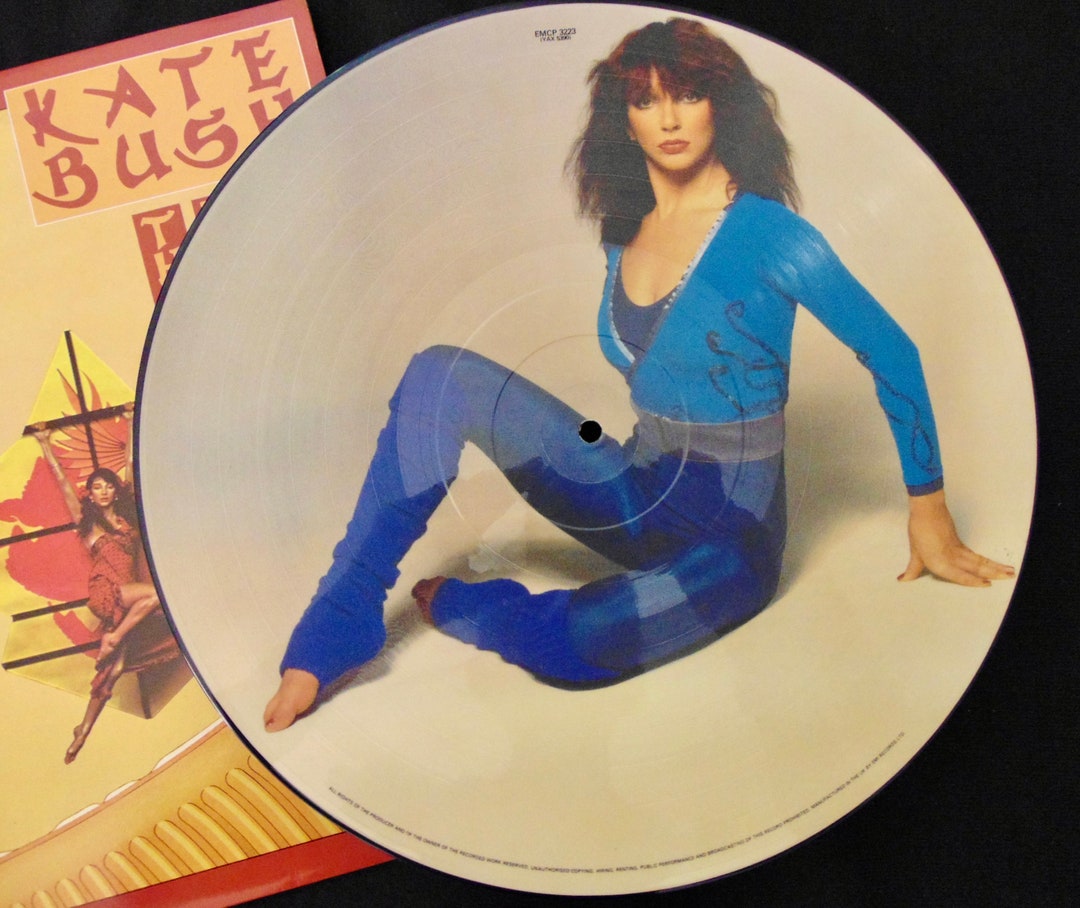 Kate Bush "the Kick Inside" 1978 Limited Edition Picture Disc LP - Etsy