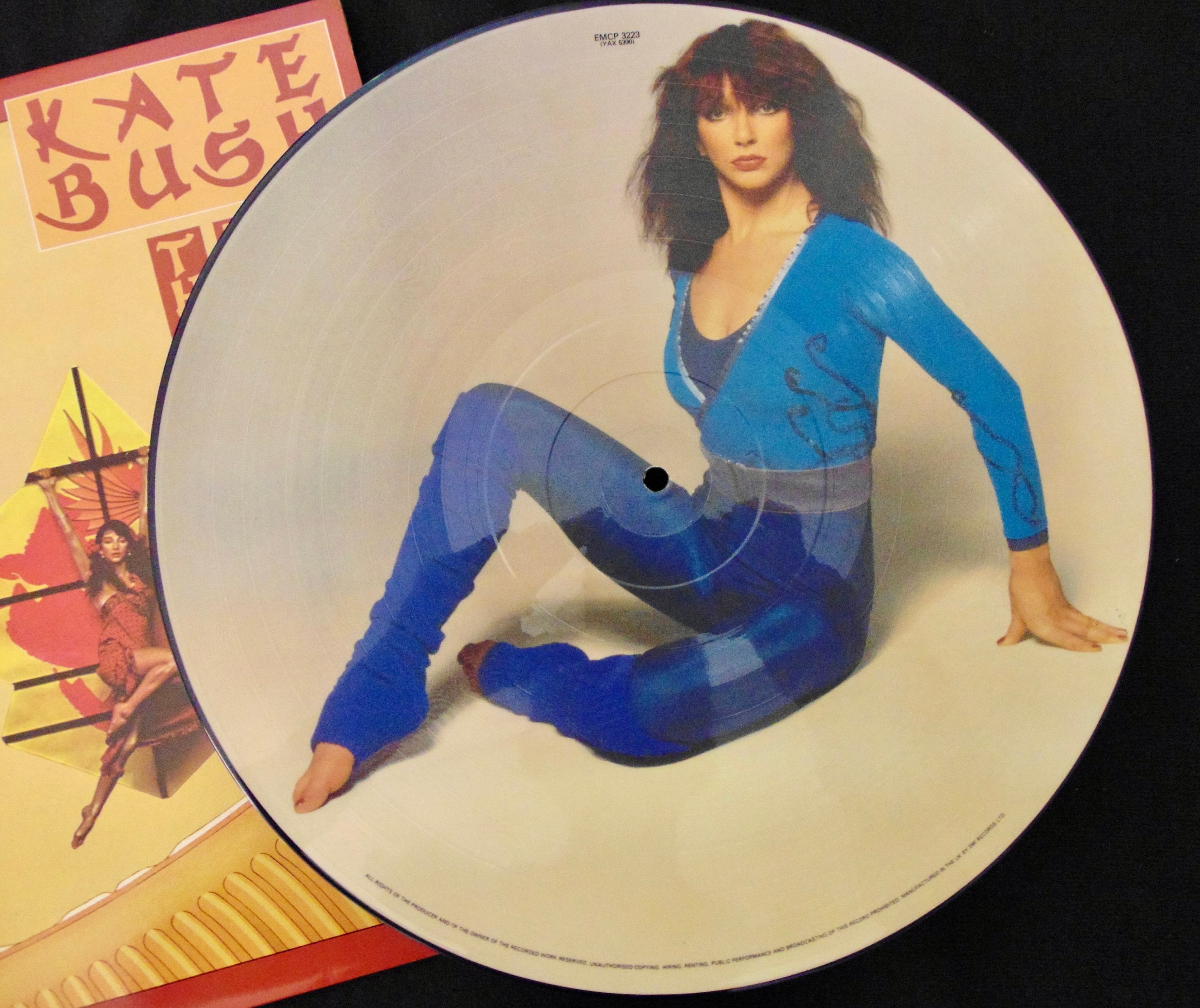 Kate Bush "the Kick Inside" 1978 Limited Edition Picture Disc LP - Etsy