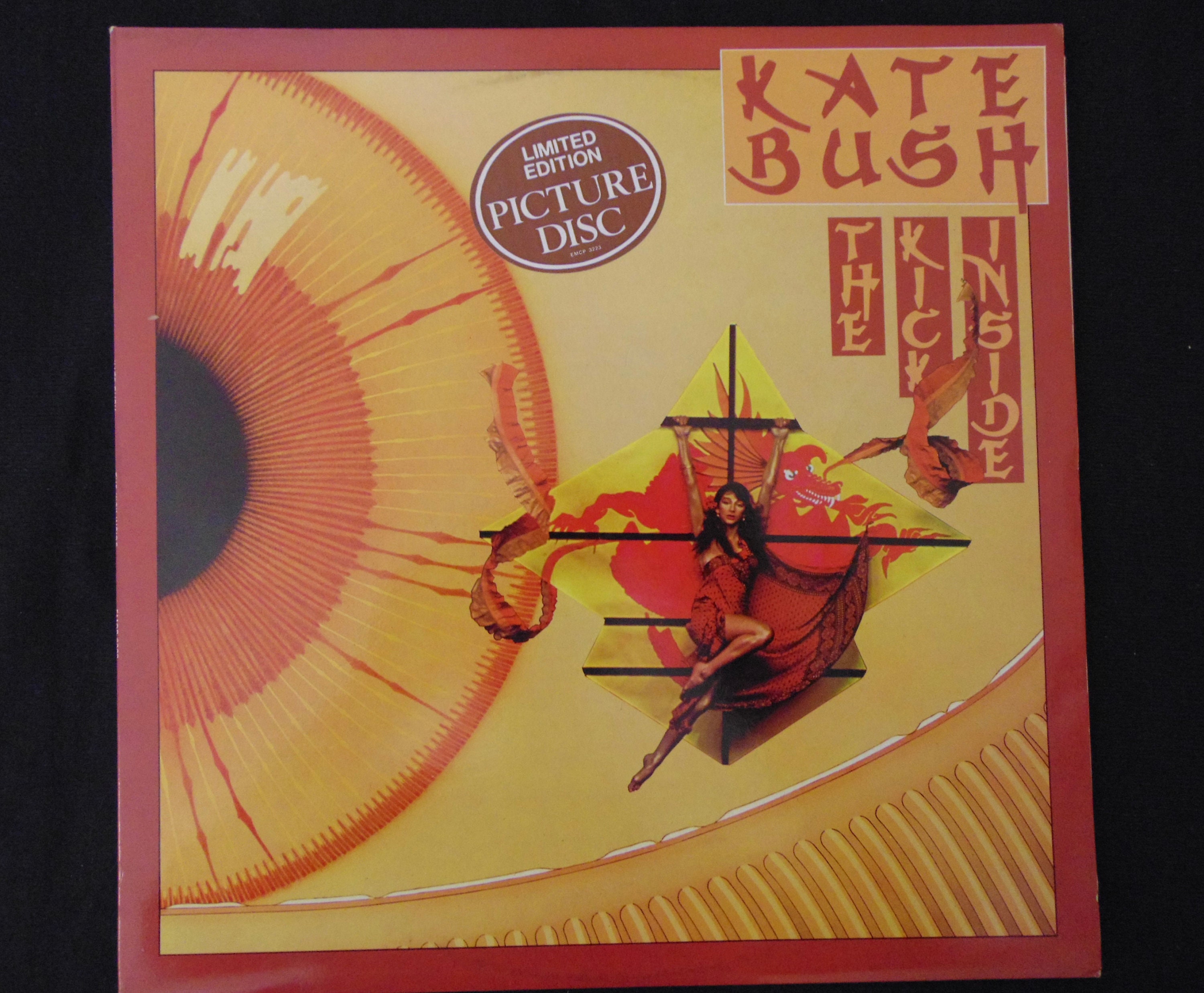 Kate Bush "the Kick Inside" 1978 Limited Edition Picture Disc LP - Etsy