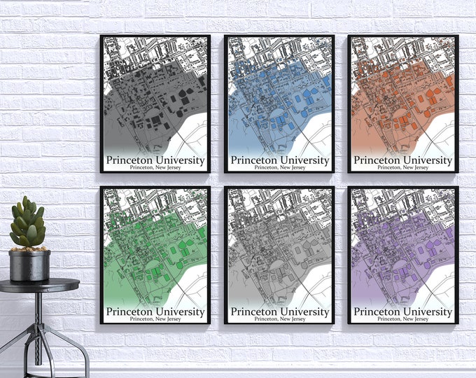 Colored Campus Map of USF University of South Florida and All Its Roads ...