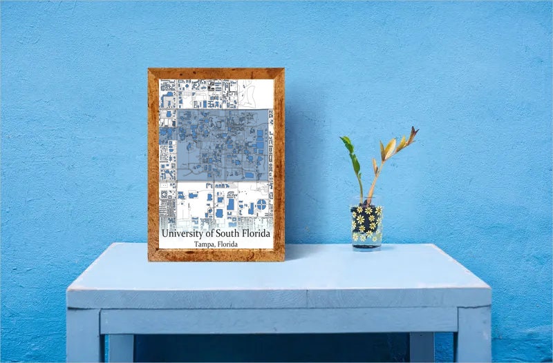 Colored Campus Map of USF University of South Florida and All Its Roads ...