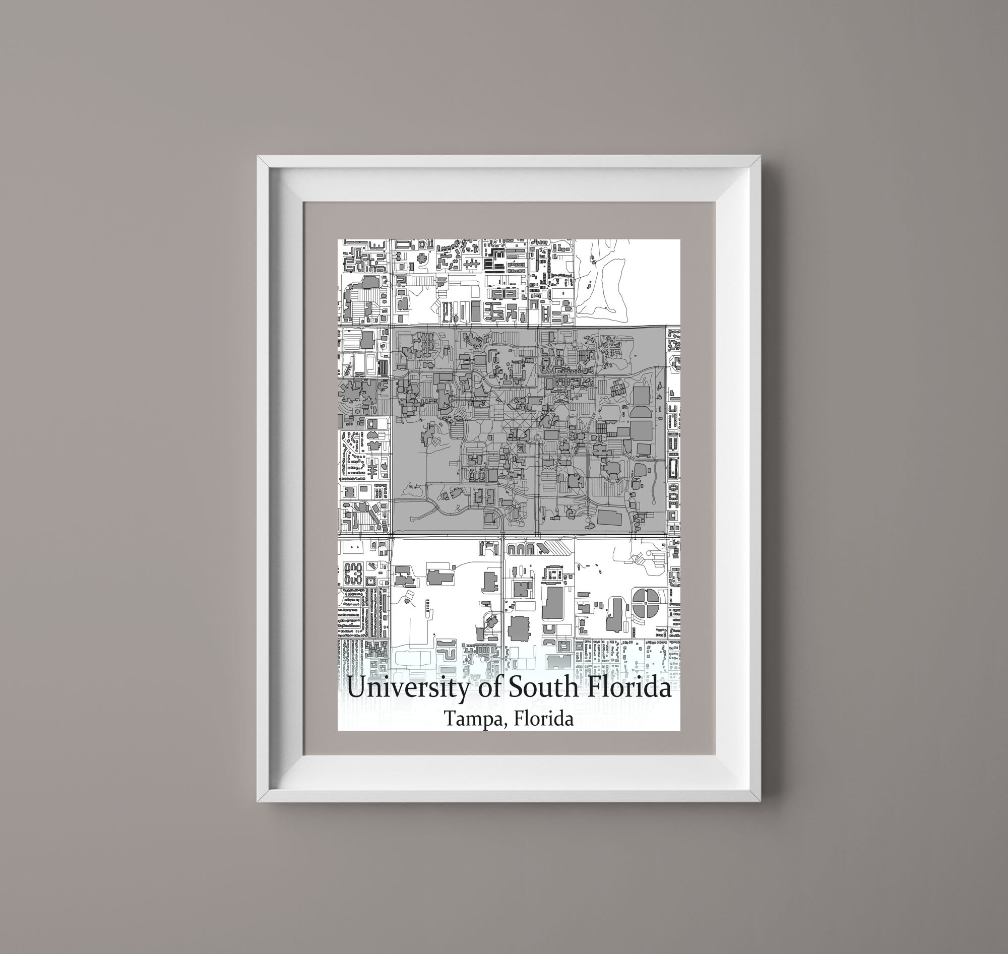 Colored Campus Map of USF University of South Florida and All Its Roads ...