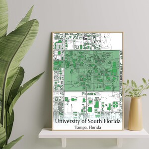 Colored Campus Map of USF University of South Florida and All Its Roads ...