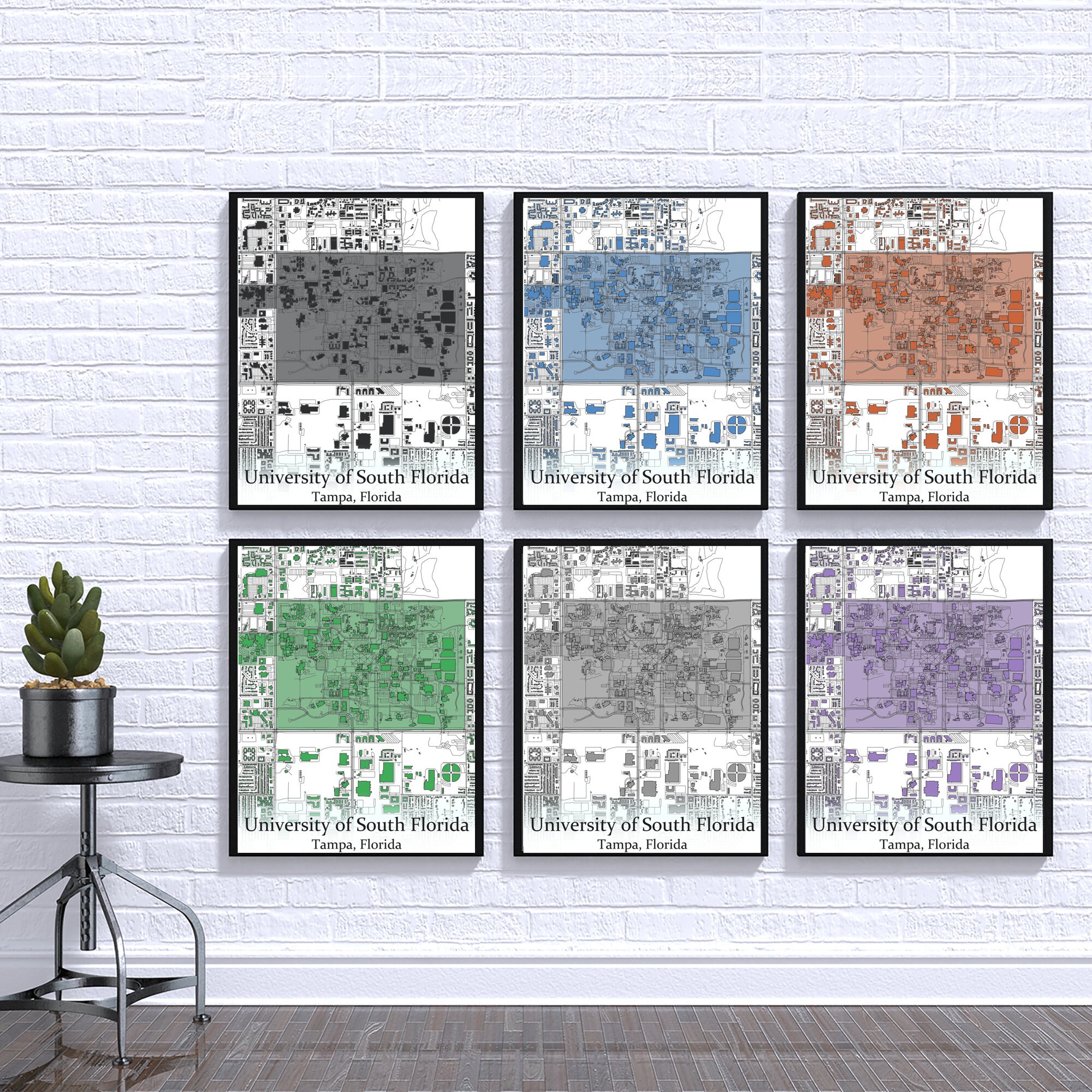 Colored Campus Map of USF University of South Florida and All Its Roads ...