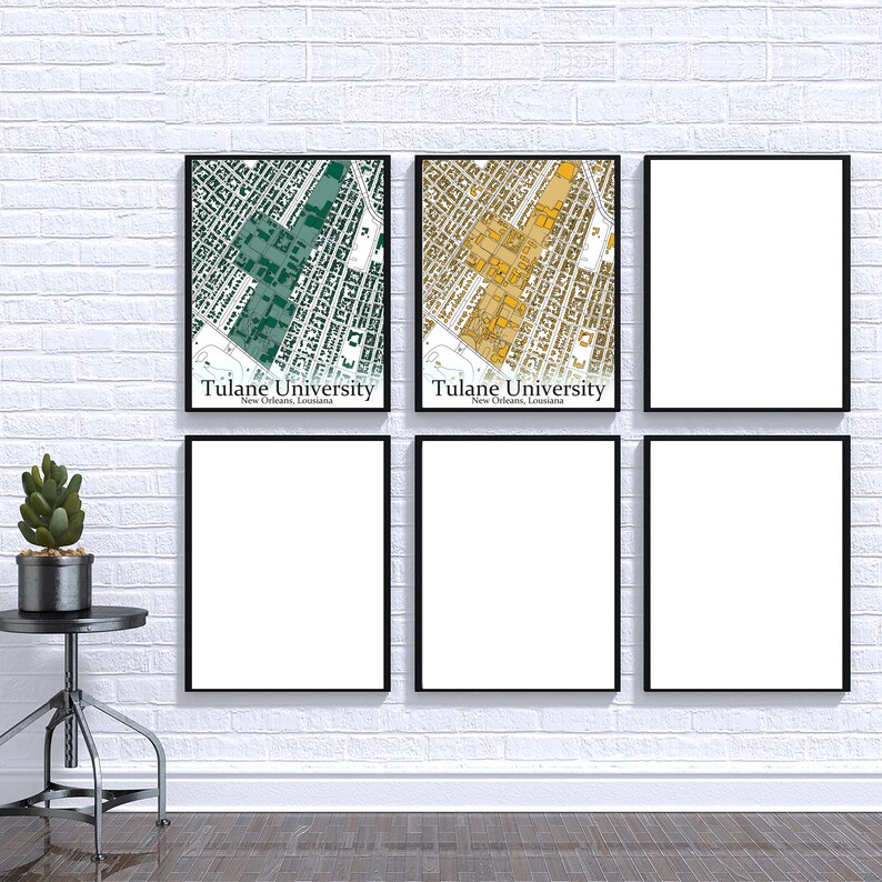 Colored Campus Map of Tulane University and All Its Roads - Etsy
