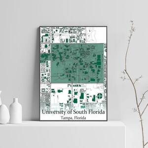 Colored Campus Map of USF University of South Florida and All Its Roads ...