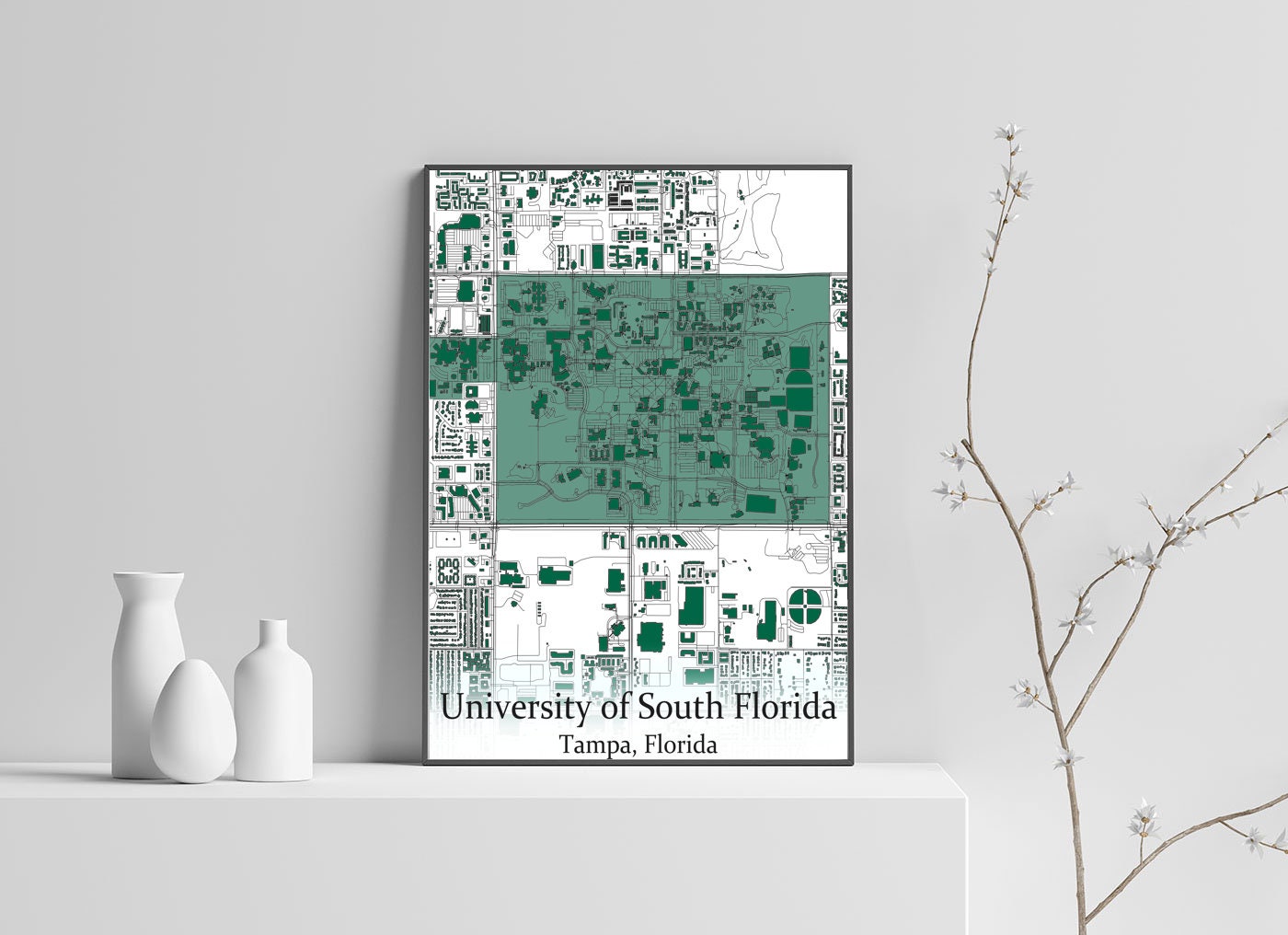 Colored Campus Map of USF University of South Florida and All Its Roads ...