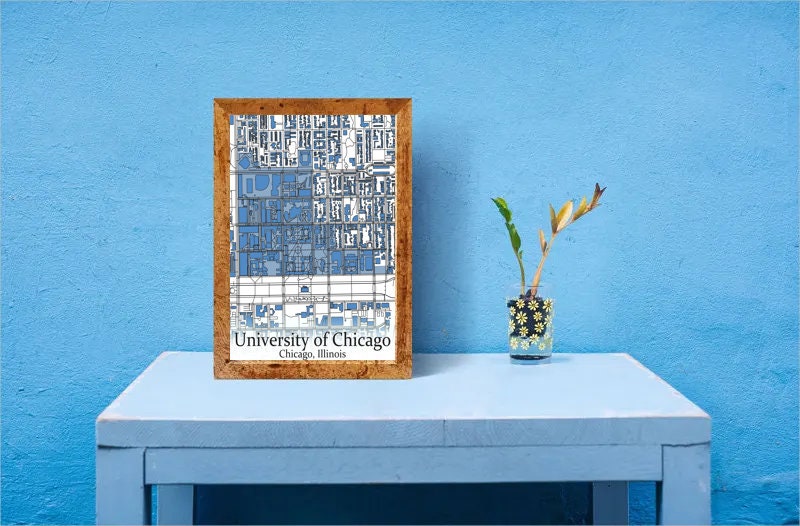 Colored Campus Map of University of Chicago and All Its Roads - Etsy