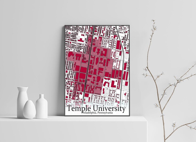 Colored Campus Map of Temple University and All Its Roads - Etsy Ireland