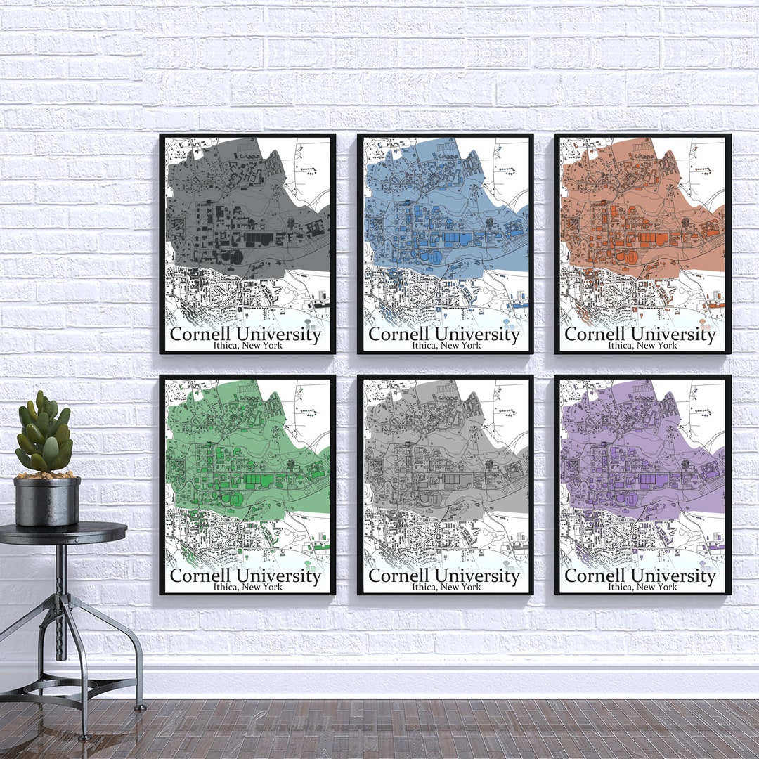 Colored Map of Cornell University and All Its Roads - Etsy