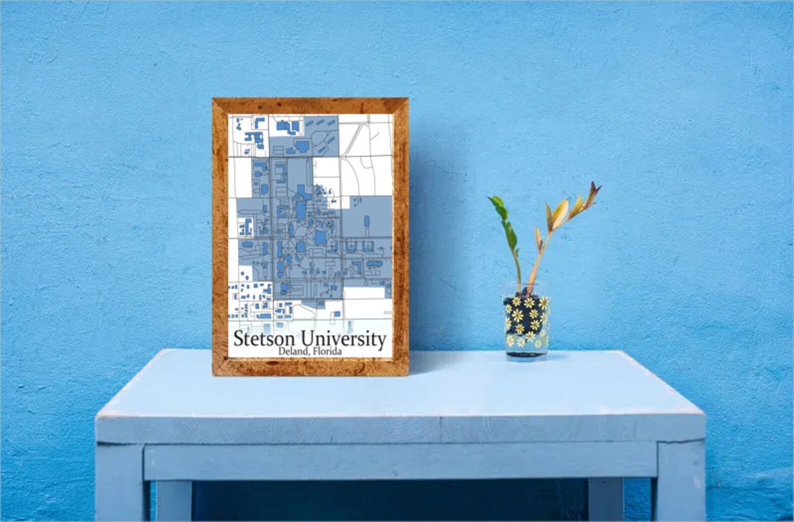 Colored Campus Map of Stetson University and All Its Roads - Etsy