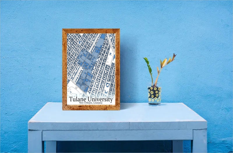 Colored Campus Map of Tulane University and All Its Roads - Etsy Australia
