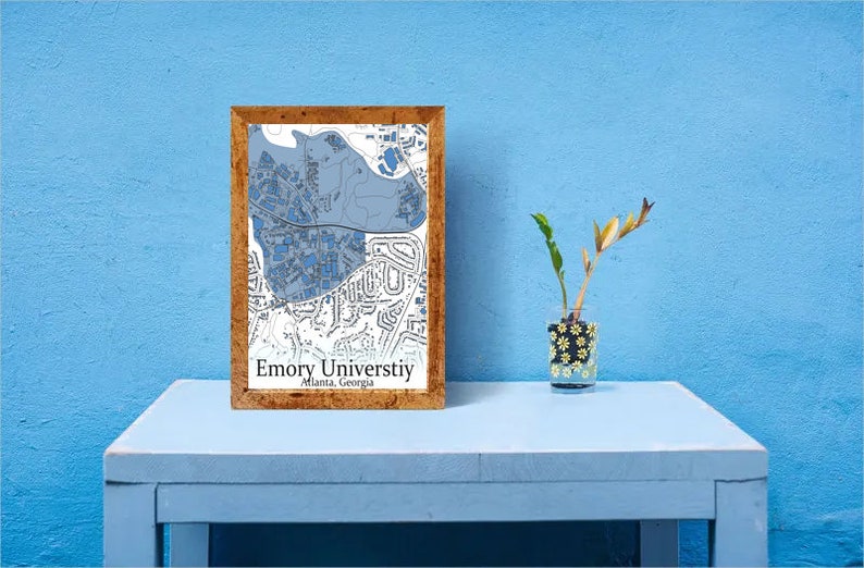 Colored Campus Map of Emory University and All Its Roads - Etsy