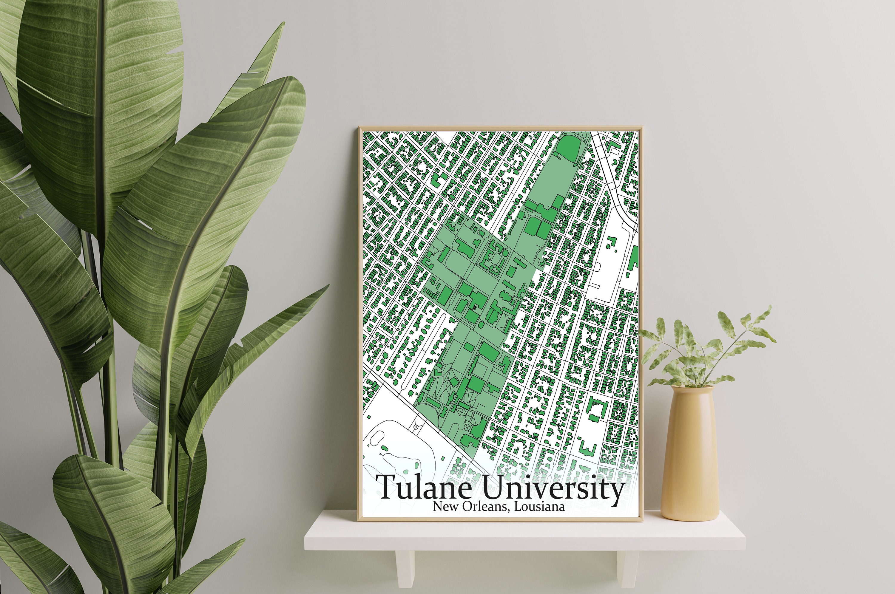 Colored Campus Map of Tulane University and All Its Roads - Etsy Australia
