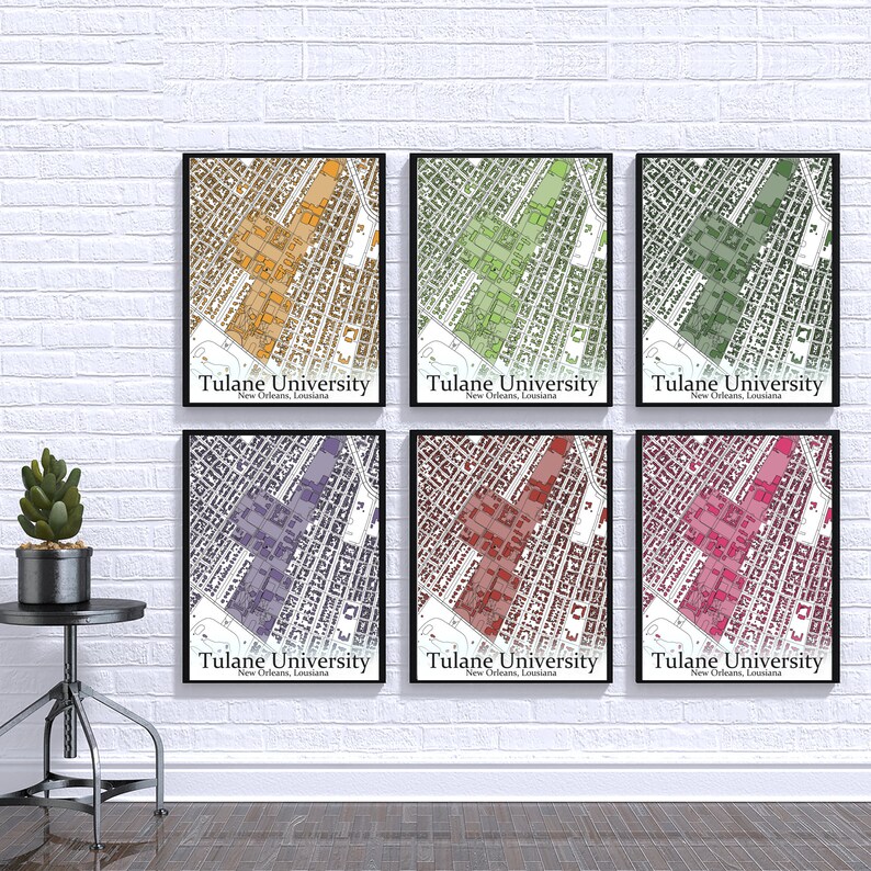 Colored Campus Map of Tulane University and All Its Roads - Etsy