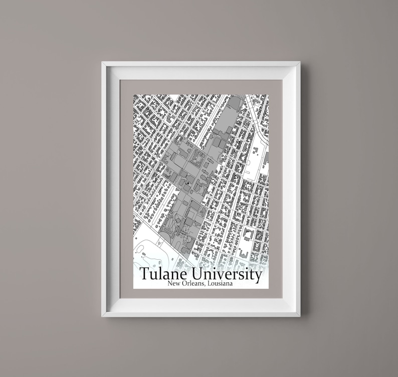 Colored Campus Map of Tulane University and All Its Roads - Etsy