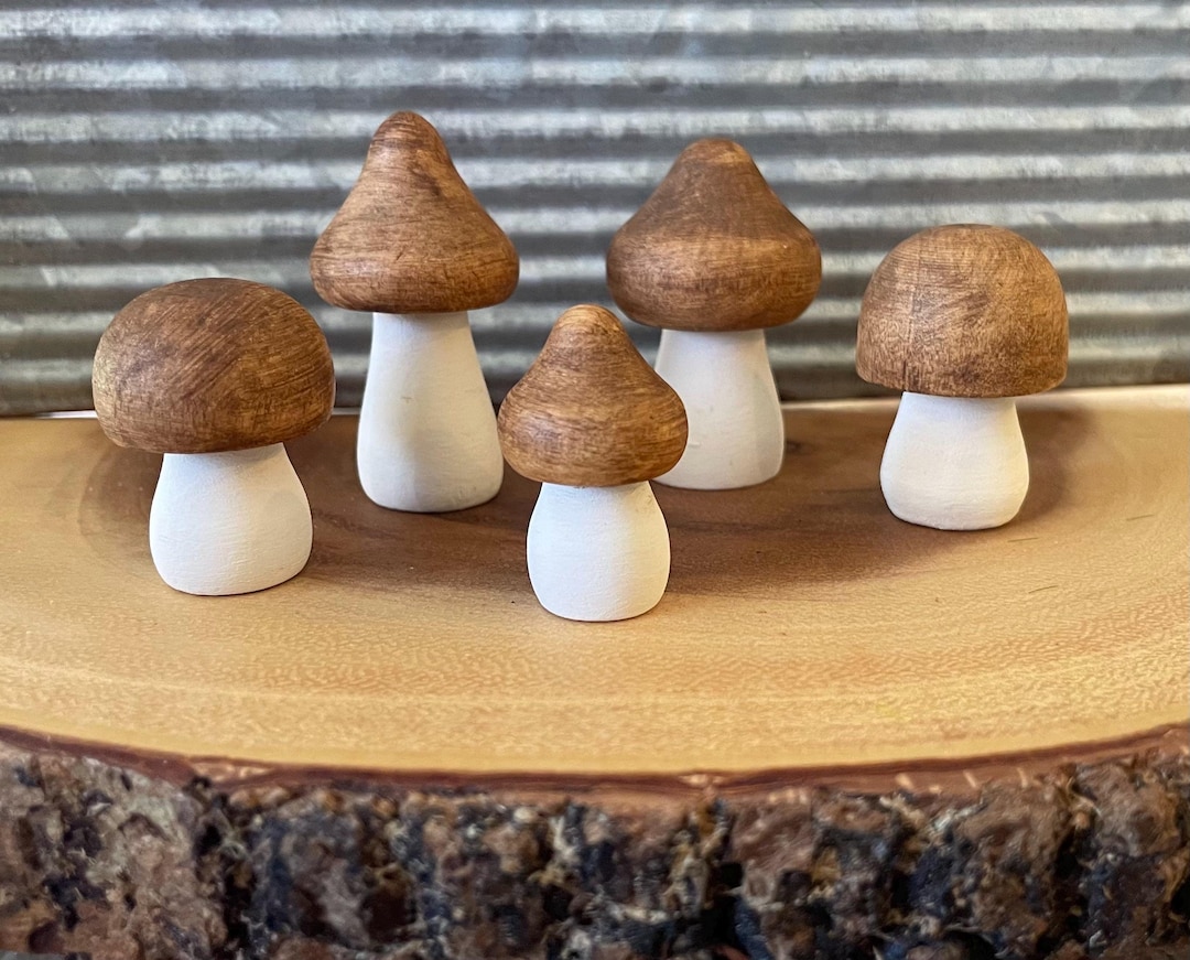 Set of 5 Mini Wood Mushrooms, Rustic Wood Mushroom Decor - Etsy