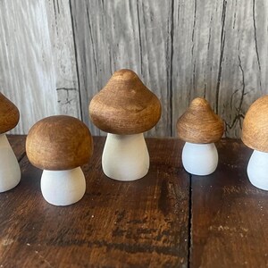 Set of 5 Mini Wood Mushrooms, Rustic Wood Mushroom Decor - Etsy
