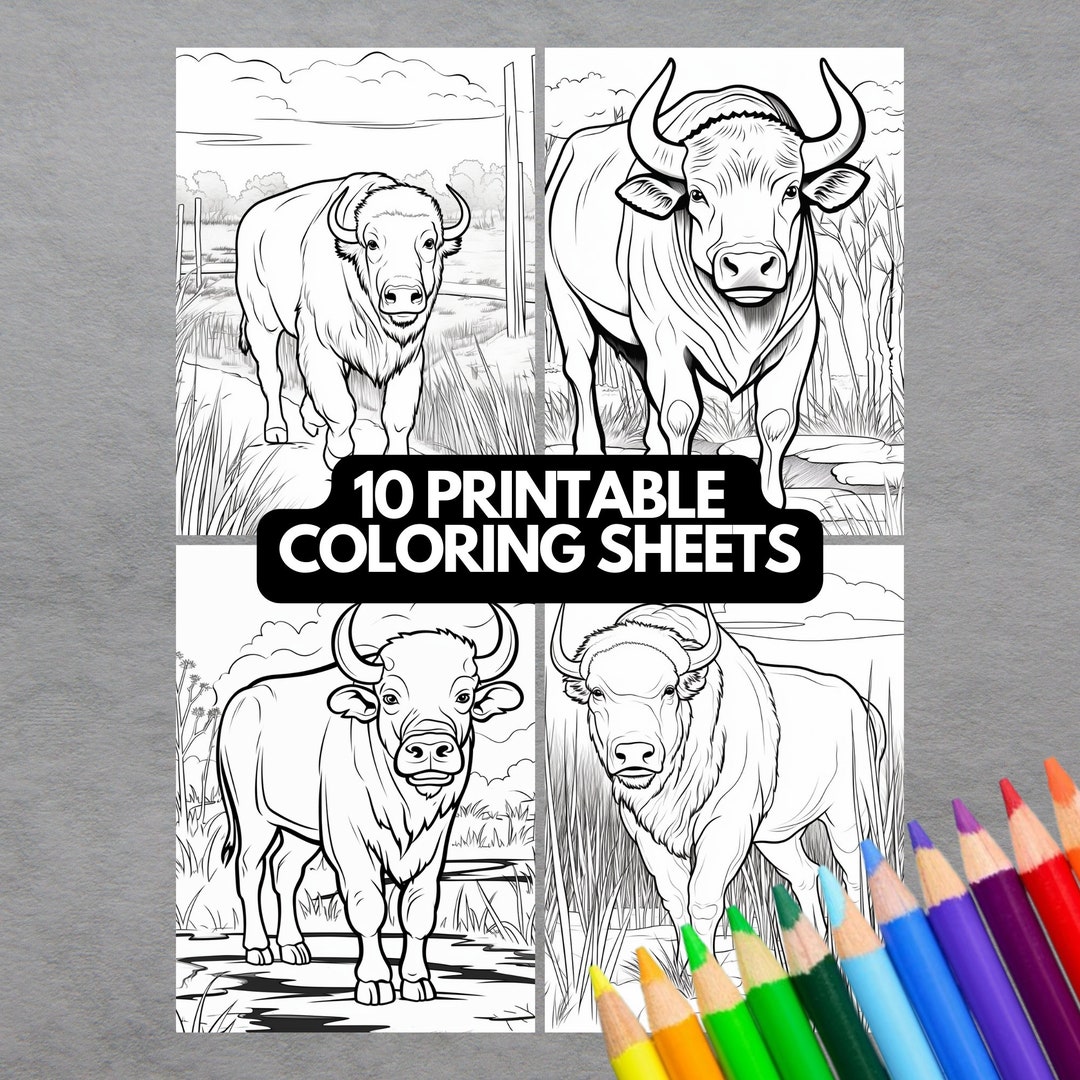 10 Coloring Pages Bison Coloring Book for Adults, Animal Coloring Pages ...