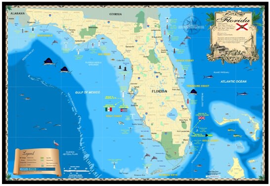 Florida Laminated Placemat Map 12 X 18 - Etsy