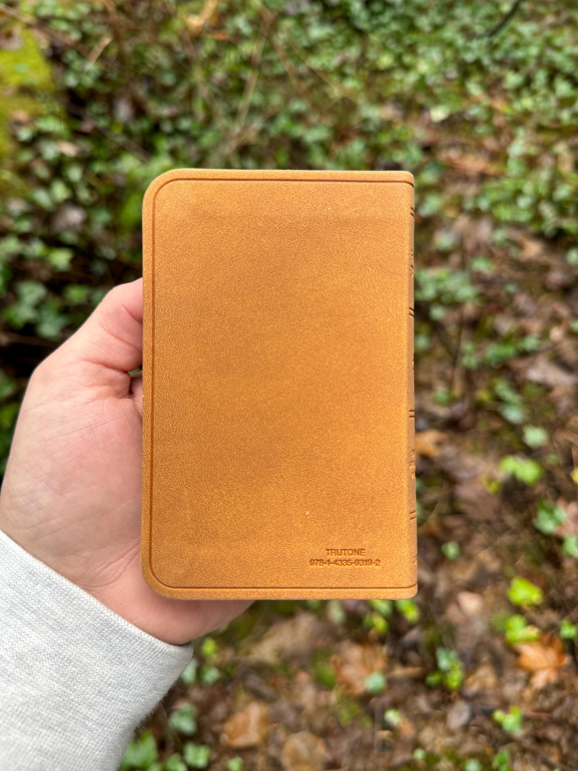 Engraved Pocket Bible - ESV New Testament, Psalms, Proverbs - Floral ...