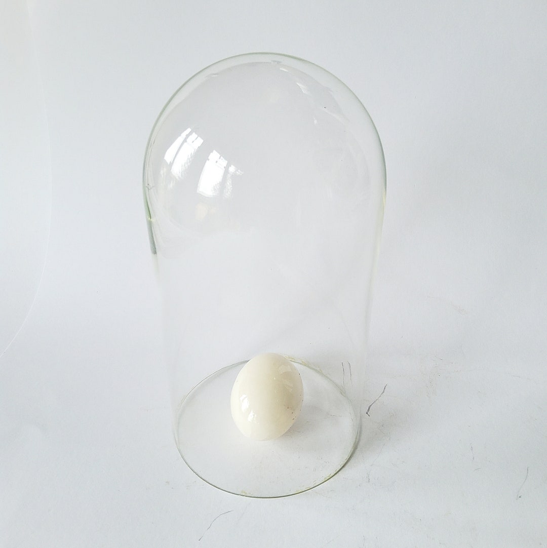 Glass Dome 22 X 12 Cm, Old Glass Dome, Vintage Glass Cover for ...