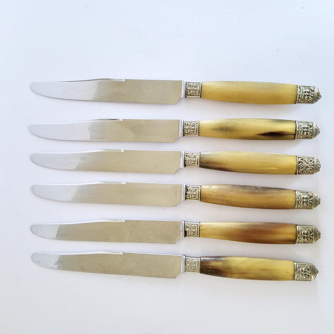 6 Große Messer Mit Bakelitgriffen Und Silberdekor, Jugendstil ...