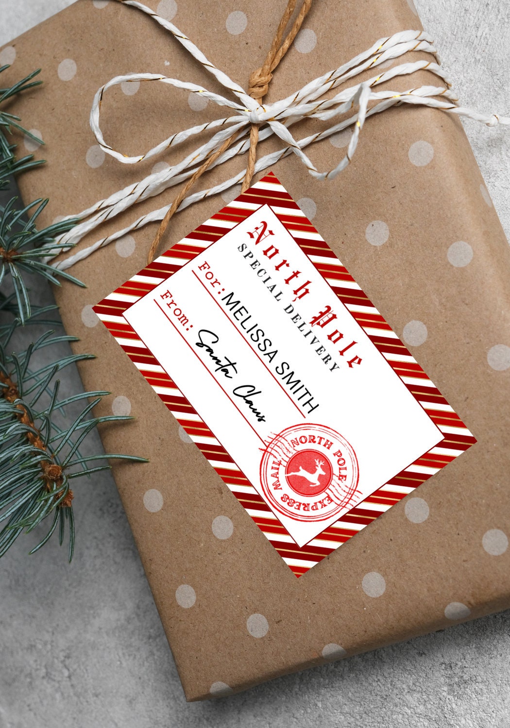 Printable Special Delivery From Santa Gift Tag, North Pole Christmas ...