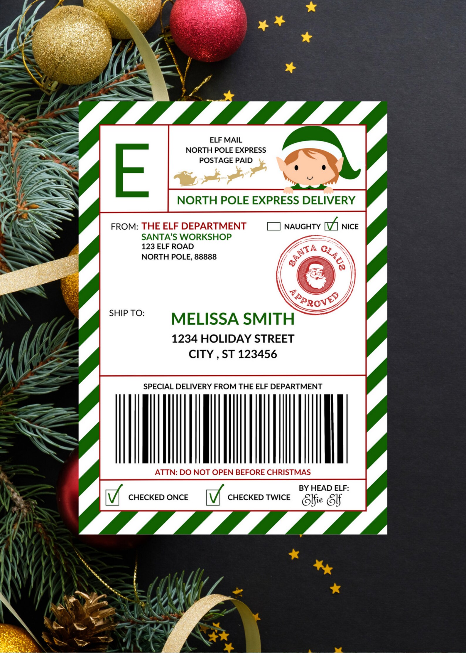 Printable North Pole Shipping Label, Elf Mail Mailing Label, Editable ...