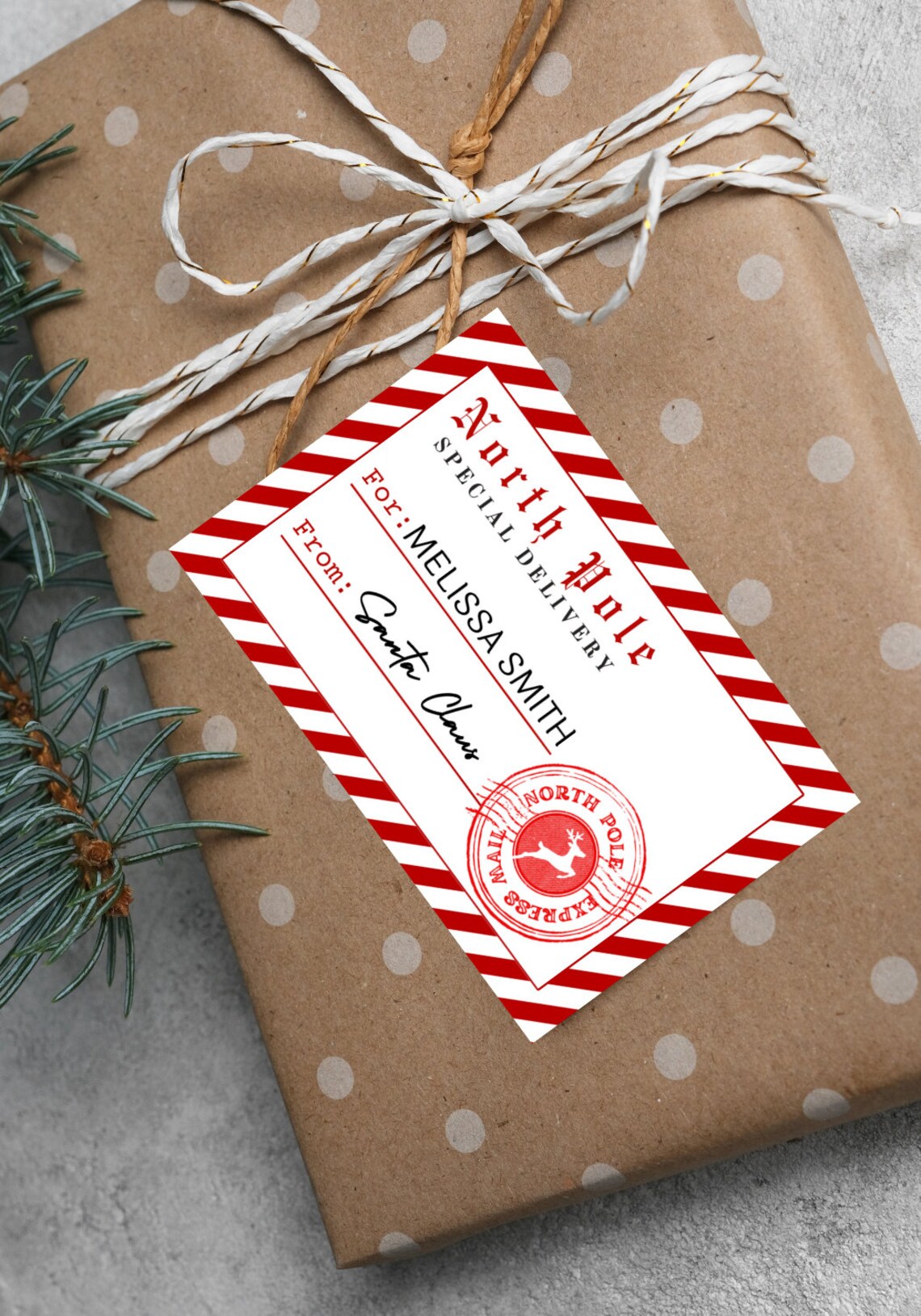 Editable From Santa Gift Tag, Printable North Pole Special Delivery Tag ...