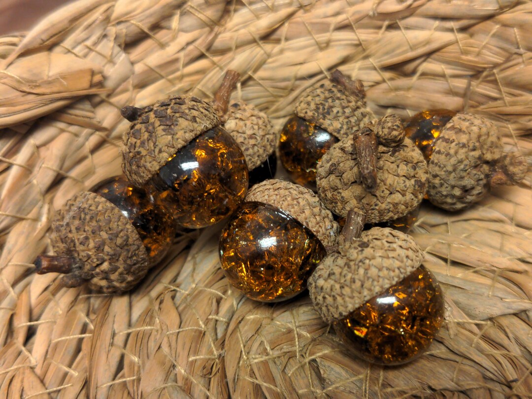 Brown Acorn Vase Filler Autumn Marble Decor Fall Squirrel Lover ...