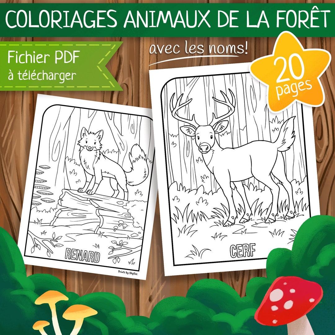 FRENCH Version - Cute Forest Animals Coloring Pages - 20 Hand Drawn ...