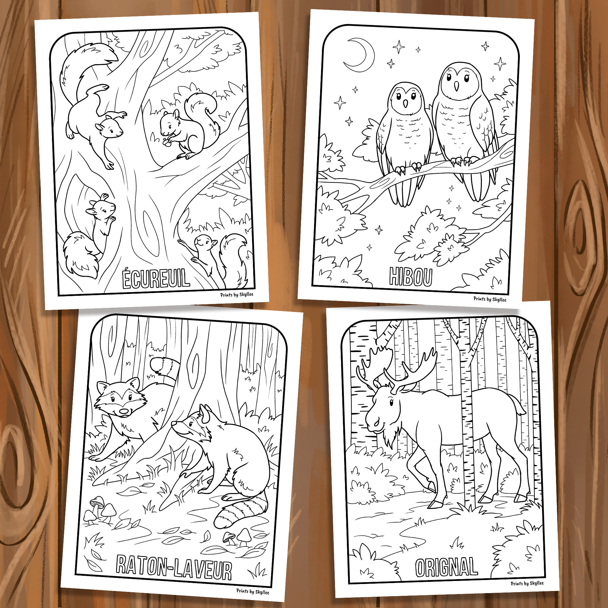 FRENCH Version - Cute Forest Animals Coloring Pages - 20 Hand Drawn ...