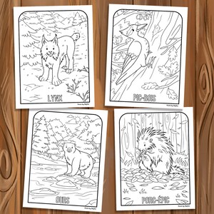 FRENCH Version - Cute Forest Animals Coloring Pages - 20 Hand Drawn ...
