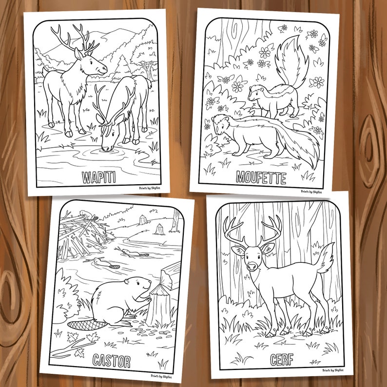 FRENCH Version - Cute Forest Animals Coloring Pages - 20 Hand Drawn ...