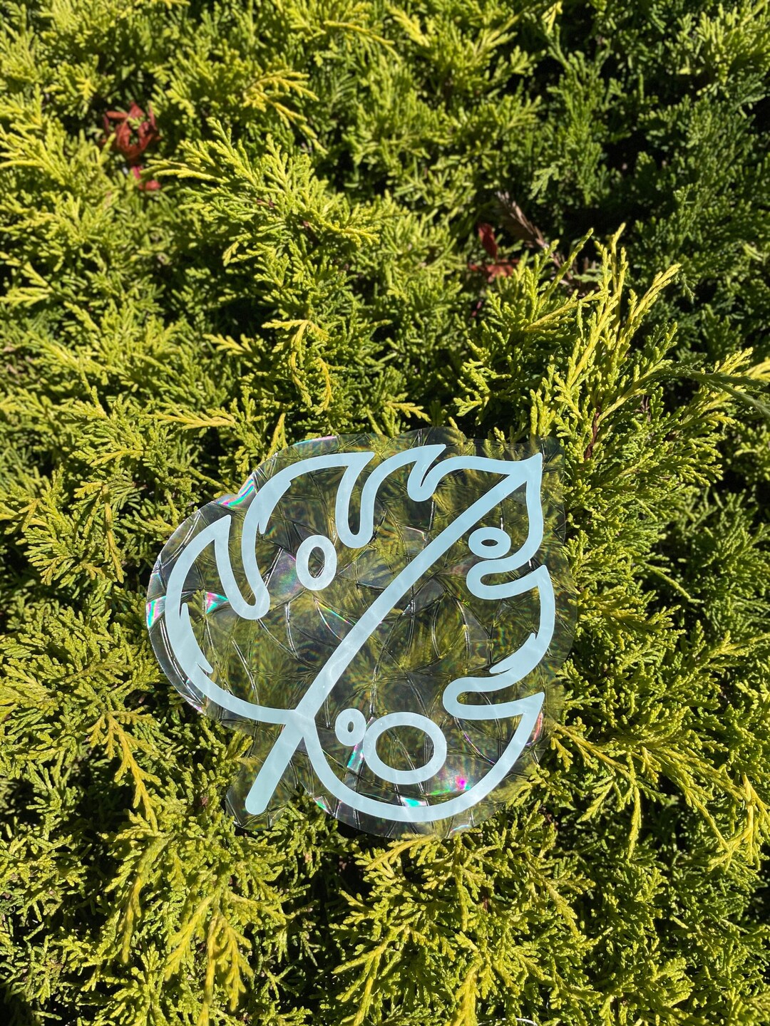 Monstera Plant Leaf Suncatcher Sticker | Window Decal | Rainbow Maker ...