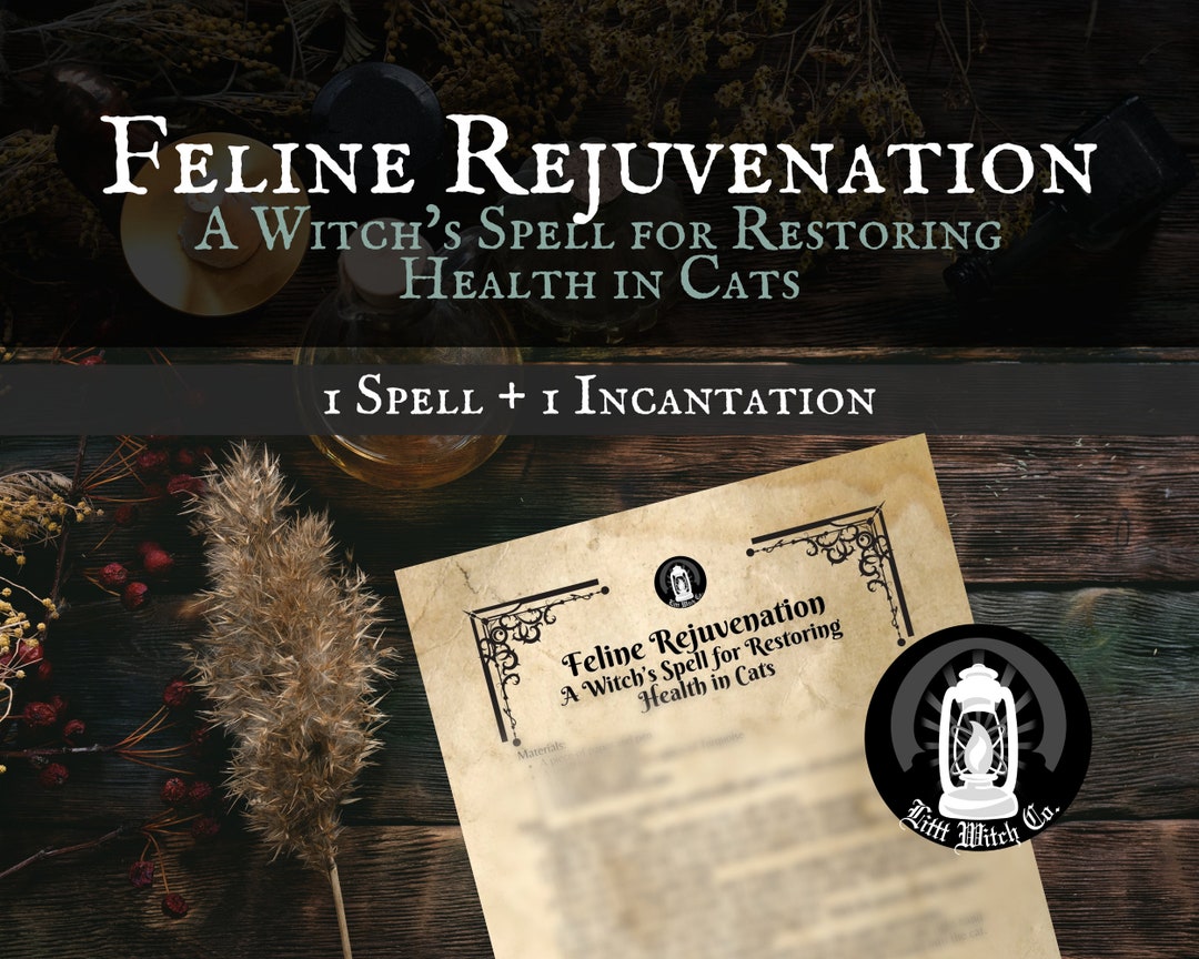 Witch Spell for Healing Cats Protection Healing Spell Feline Familiar ...