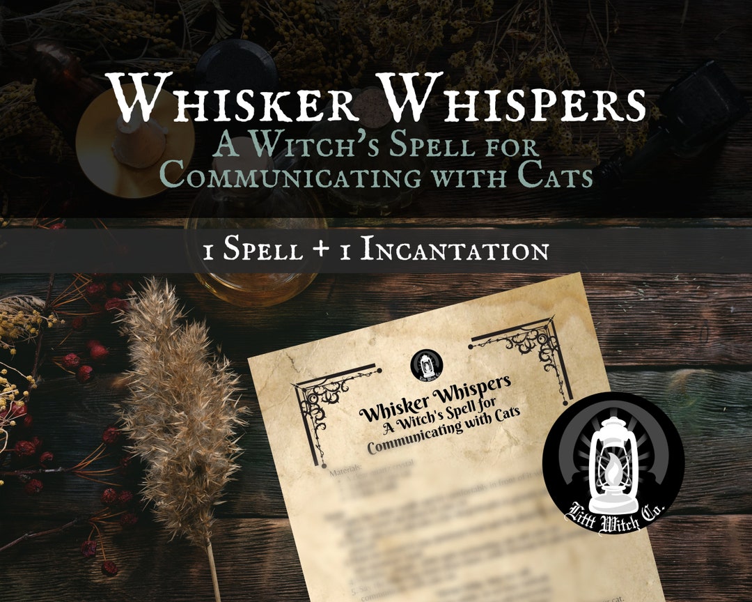 Cat Communication Spell to Enhance Communication With Your Cat Witch ...