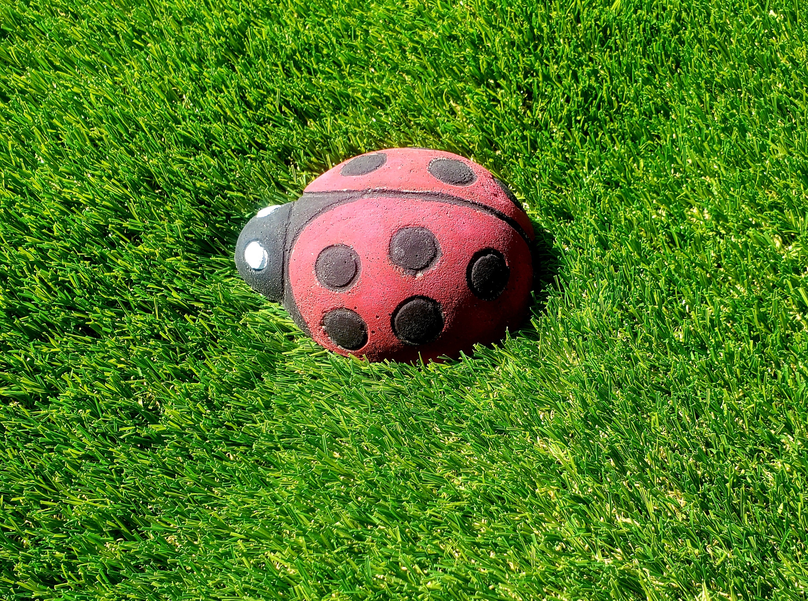 Ladybug Garden Decor - Etsy