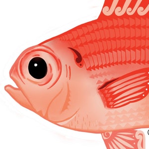 Menpachi Fish Sticker Hawaii 'u'u Soldierfish - Etsy