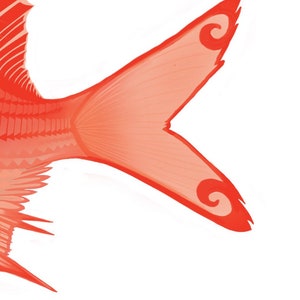 Menpachi Fish Sticker Hawaii 'u'u Soldierfish - Etsy