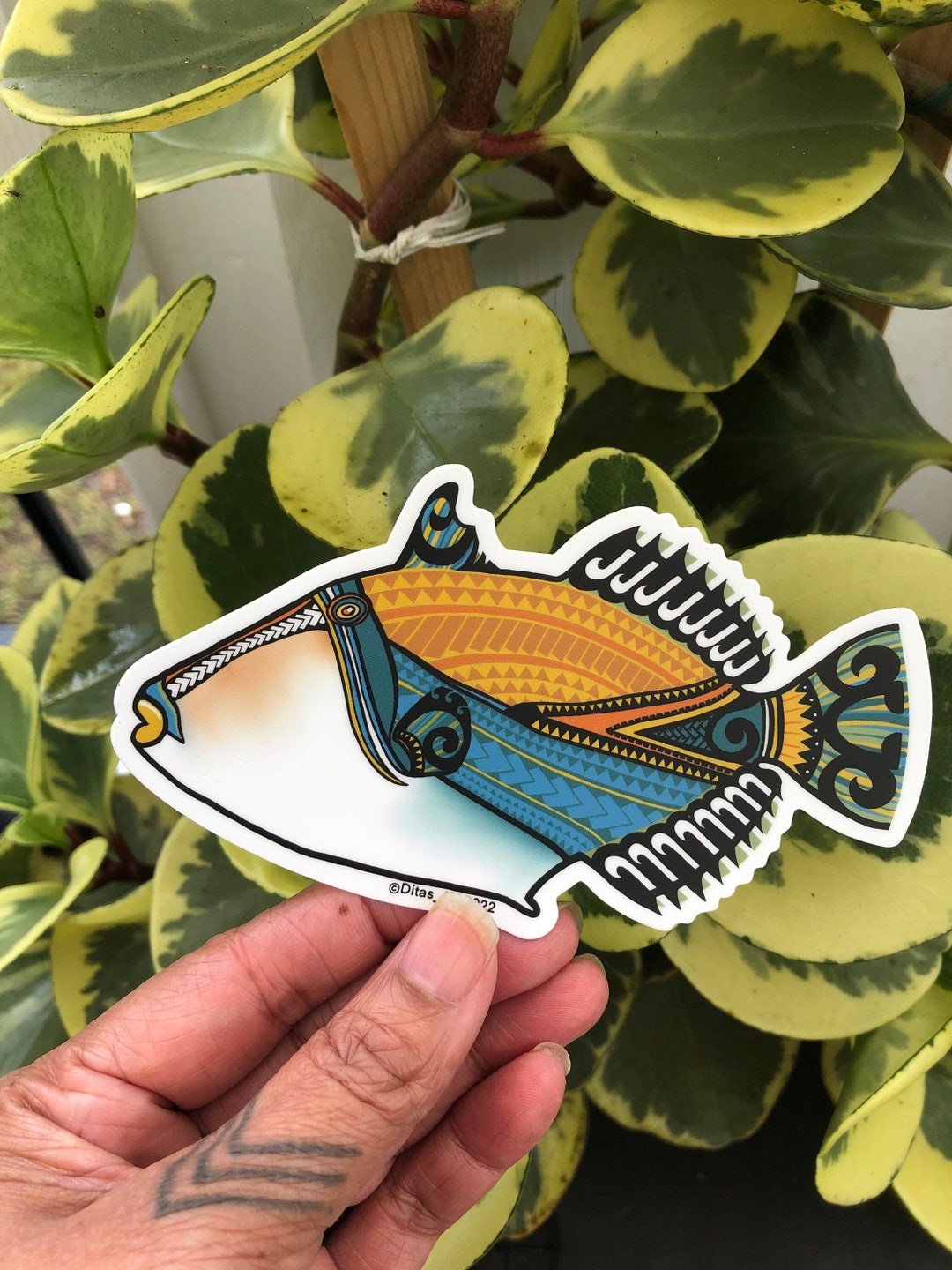 Reef Triggerfish Sticker Hawaii Humuhumunukunukuapua'a - Etsy
